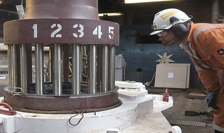 Picture1hdhdfth - Wellpartner