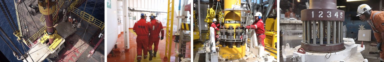 Samle-bilder - Wellpartner